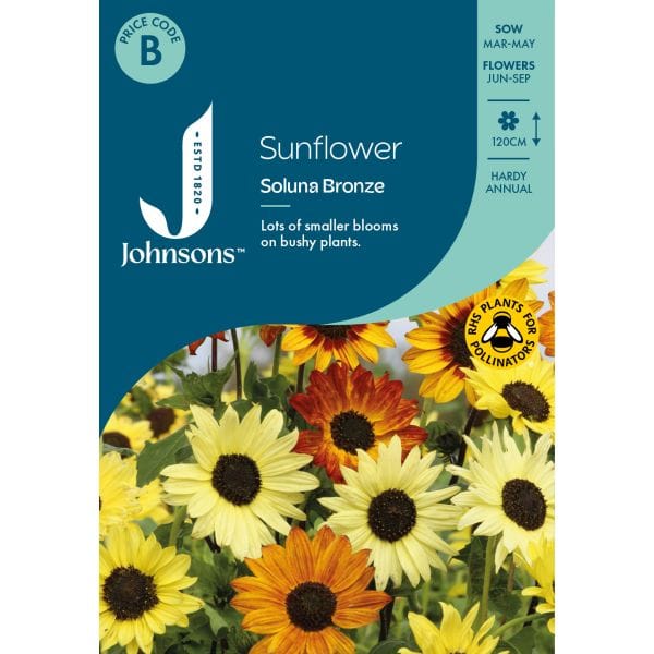 Sunflower Soluna Bronzea Seeds - Johnsons