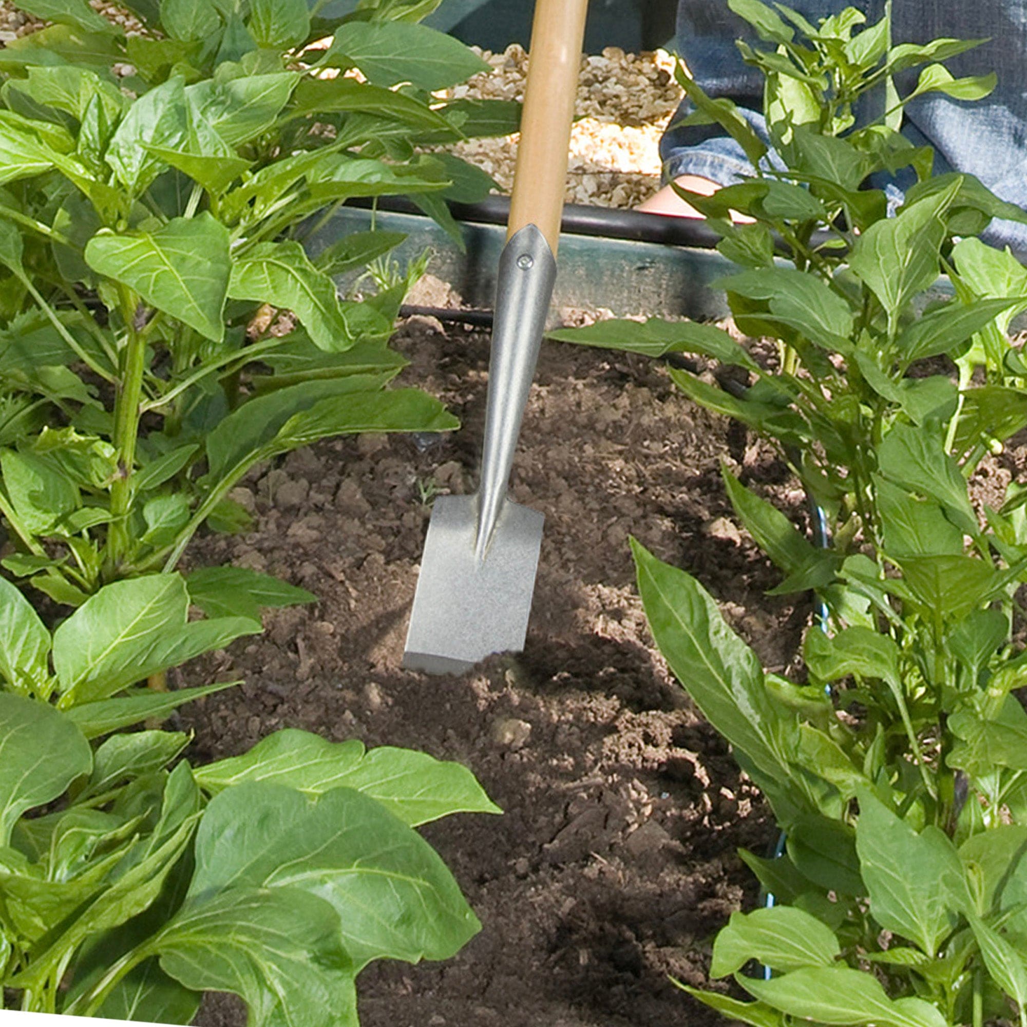 Darlac Bamboo Narrow Spade Hoe Short Handle | Johnsons