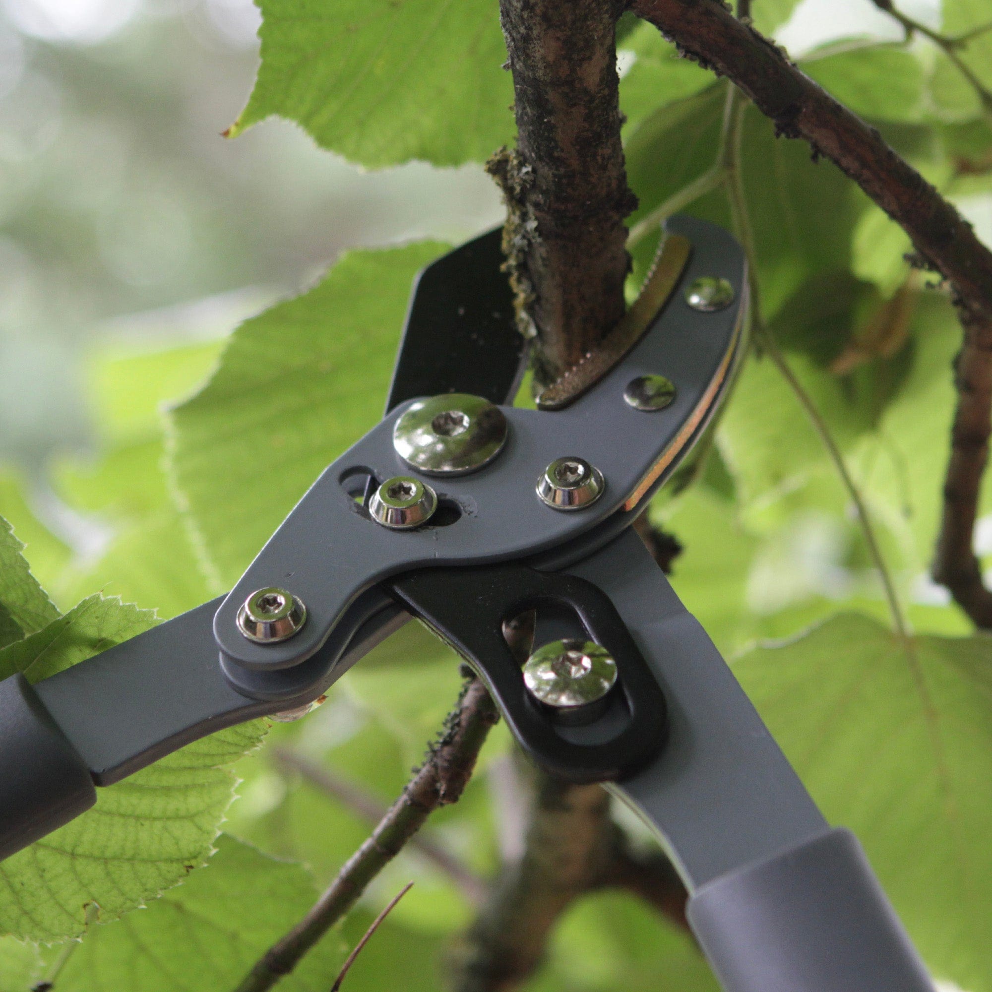 Darlac Compact Compound Action Anvil Lopper | Johnsons