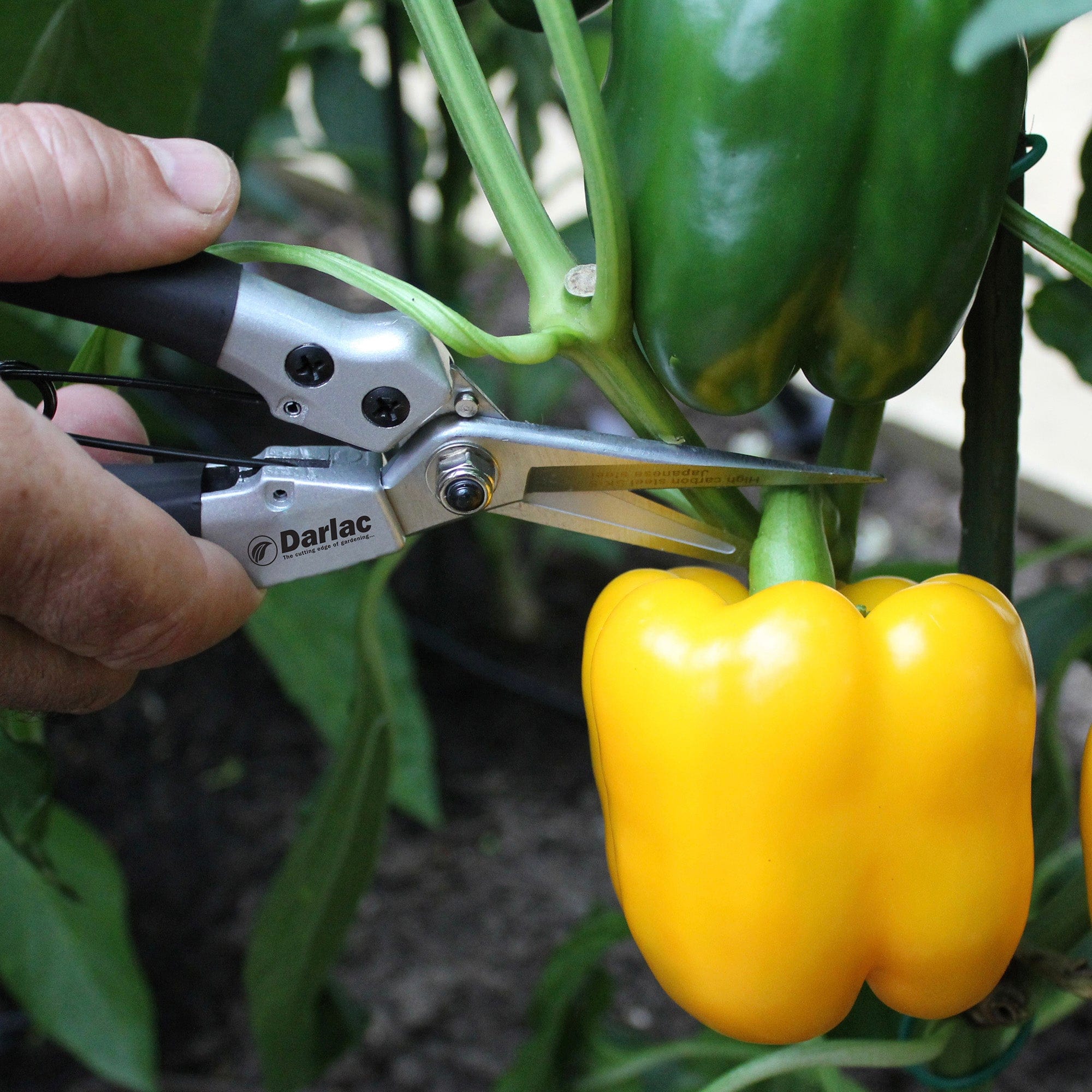 Darlac Compact Snips | Johnsons