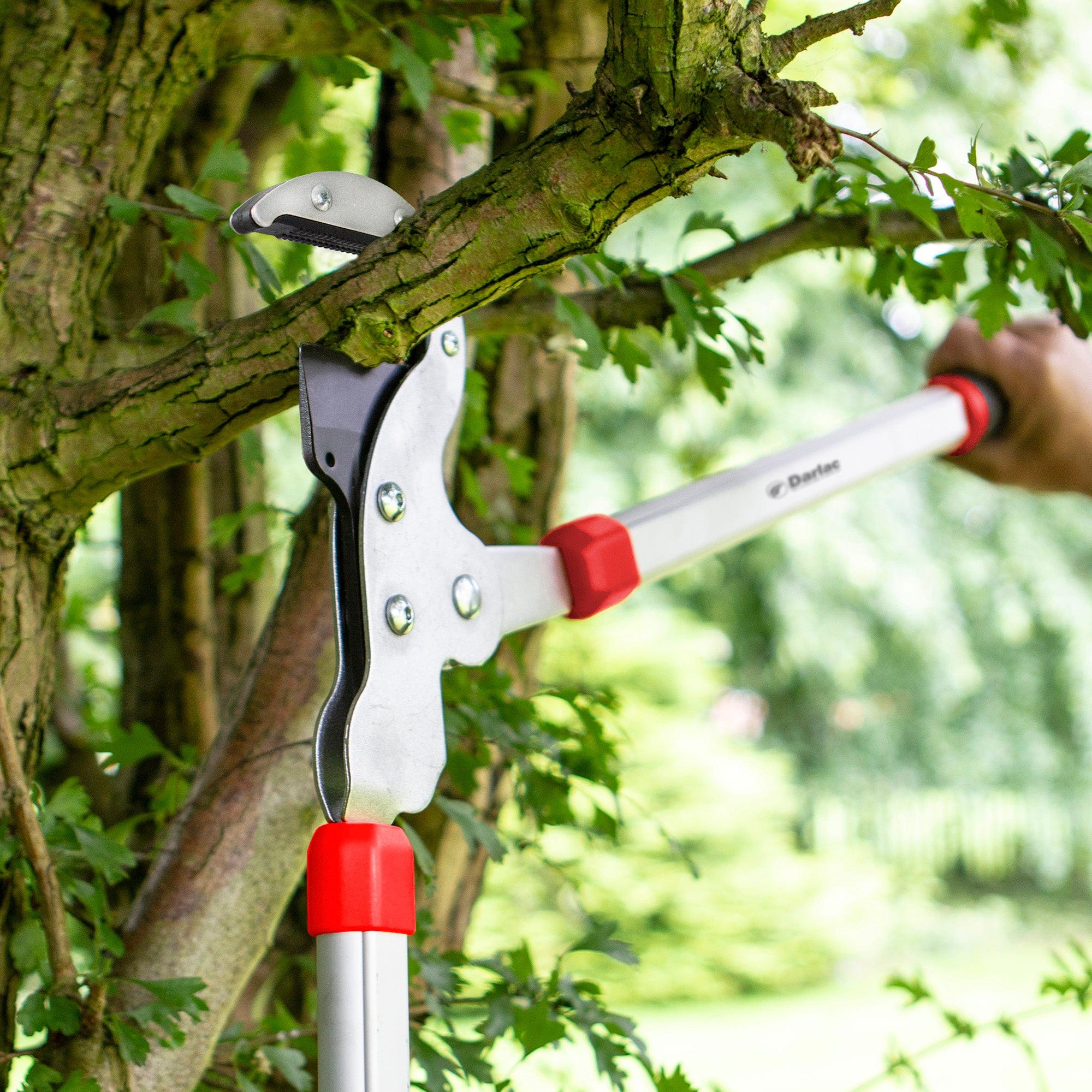 Darlac Heavy Duty Geared Anvil Lopper | Johnsons