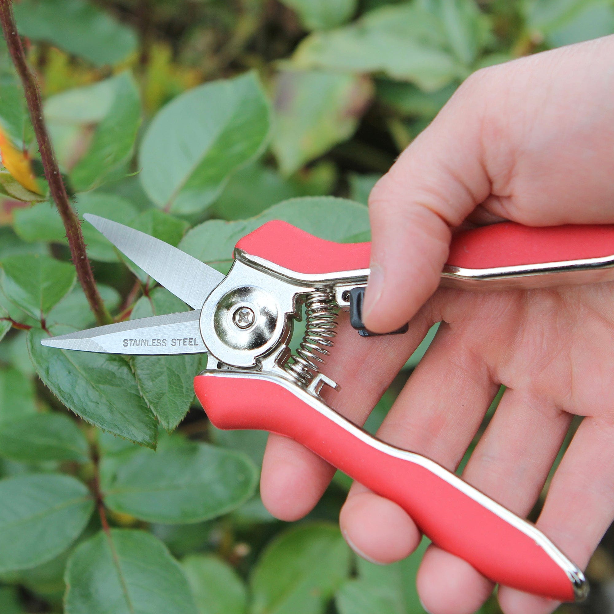 Darlac Mini Snips | Johnsons