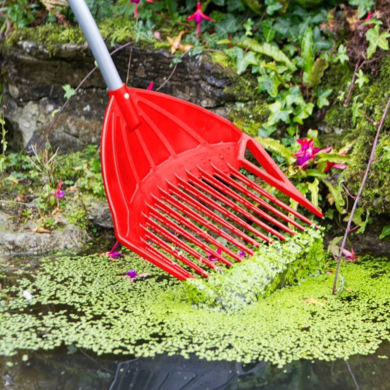 Darlac Rake-n-Shift Large | Johnsons