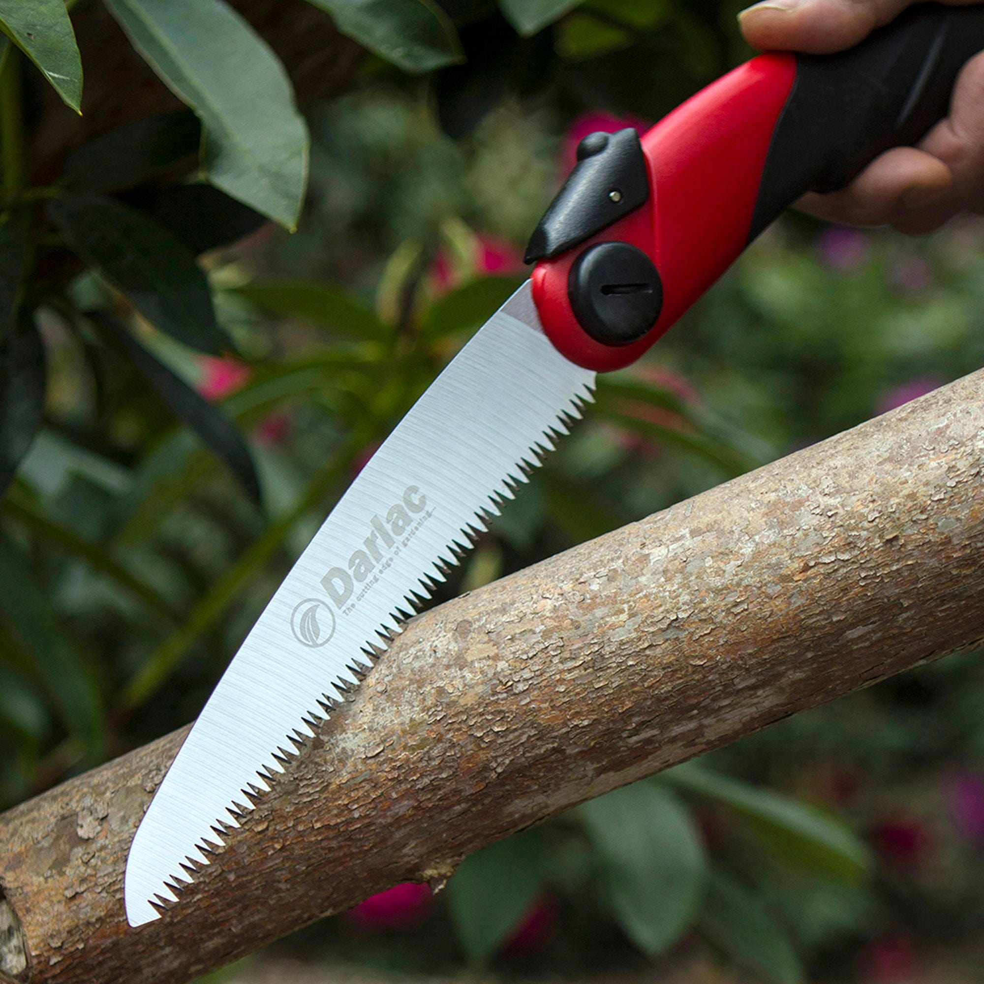 Darlac Sabre Tooth Folding Saw | Johnsons