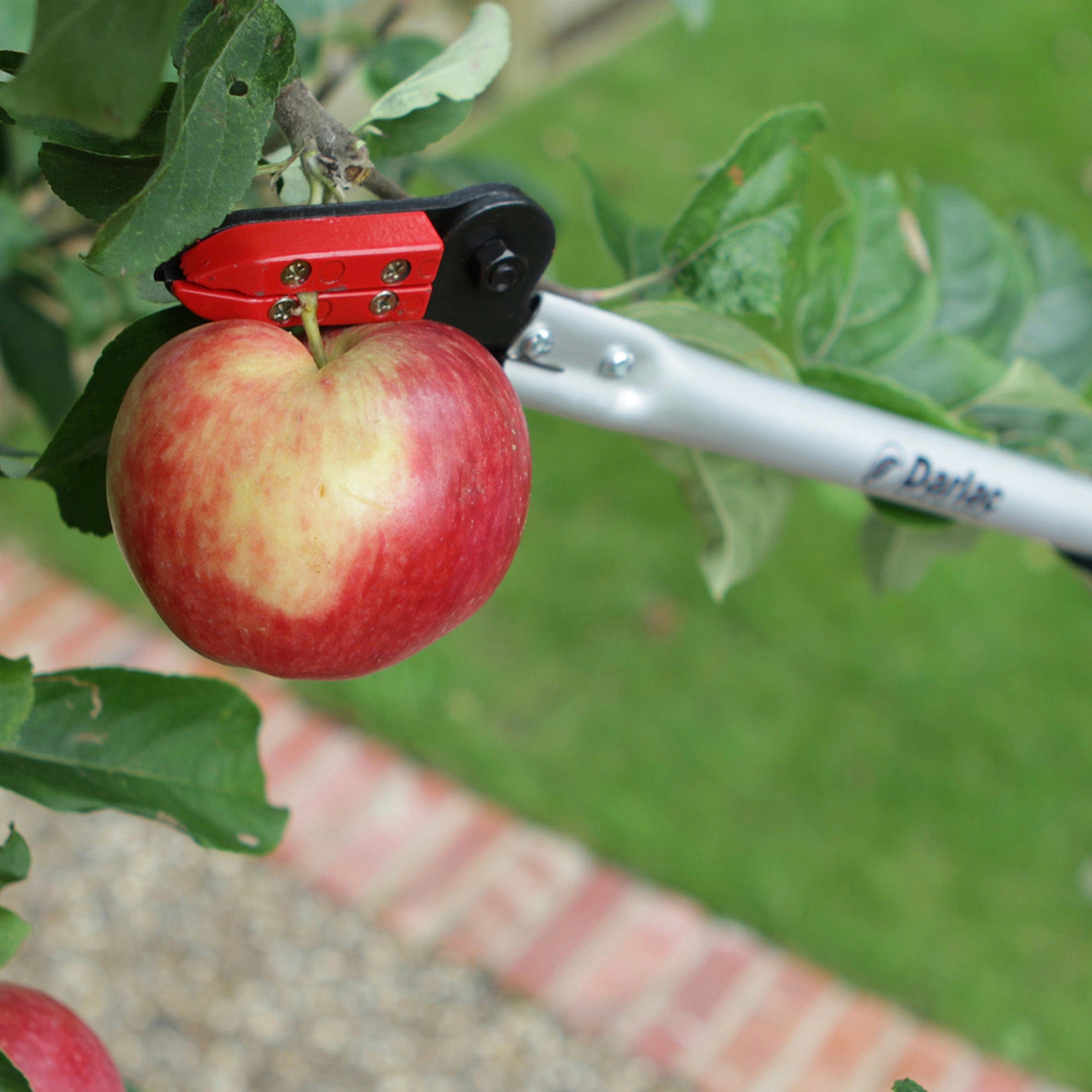 Darlac Snapper 1000mm | Johnsons