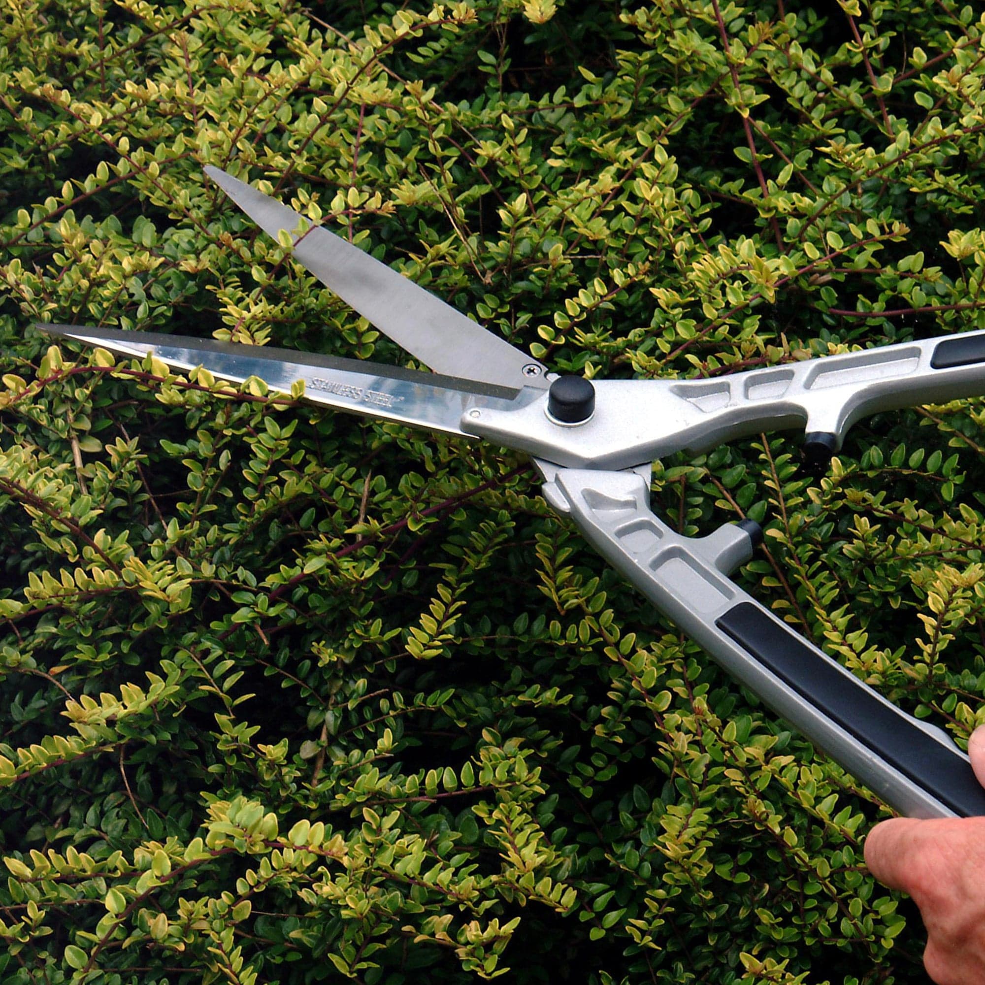 Darlac Stainless Steel Shear | Johnsons