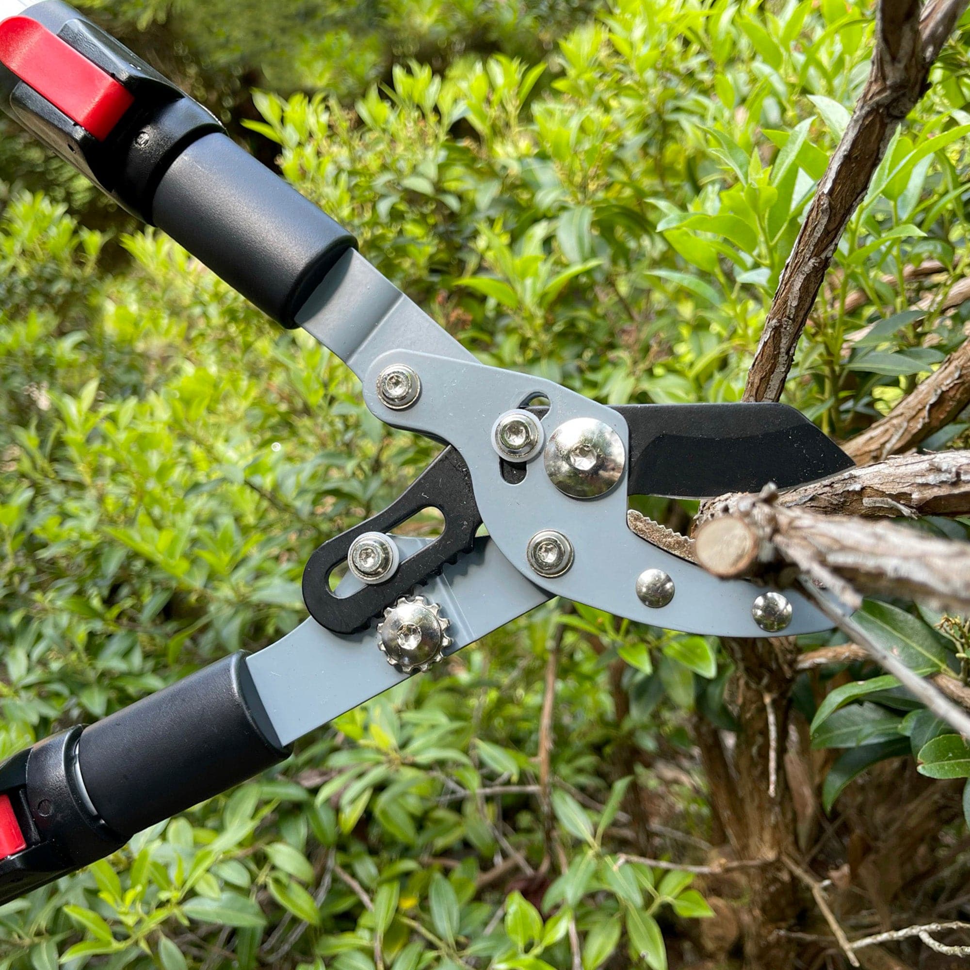 Darlac Telescopic Anvil Lopper | Johnsons