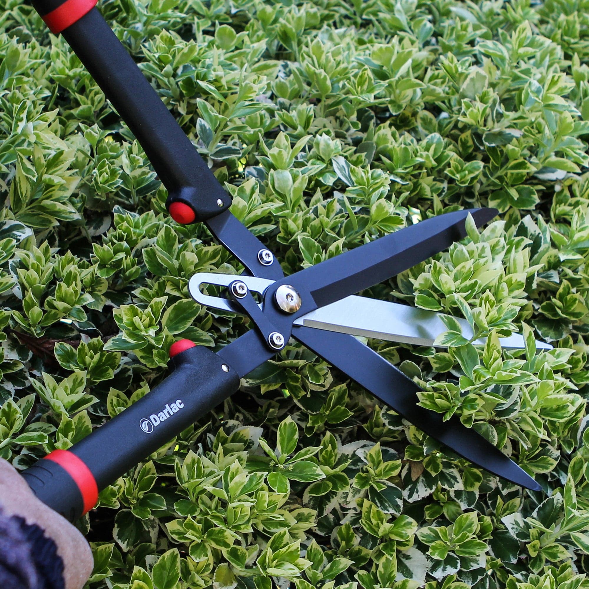 Darlac Tri-Blade Shear with Fibre Glass Handles | Johnsons