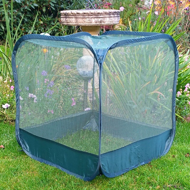 Mini Pop-Up Net Cube | Johnsons