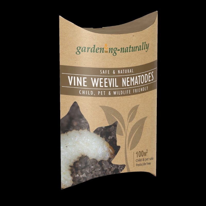 Vine Weevil Control Nematodes 100sq.m | Johnsons